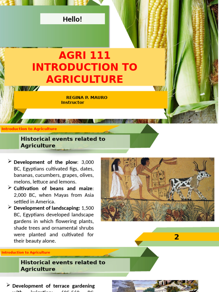 Agri 111 Introduction To Agriculture 3 | PDF | Agriculture | Food Security