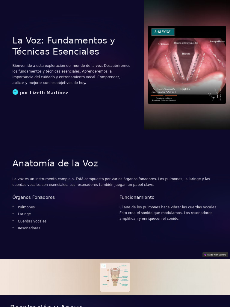La Voz Fundamentos y Tecnicas Esenciales | PDF | Respiración | Sonido