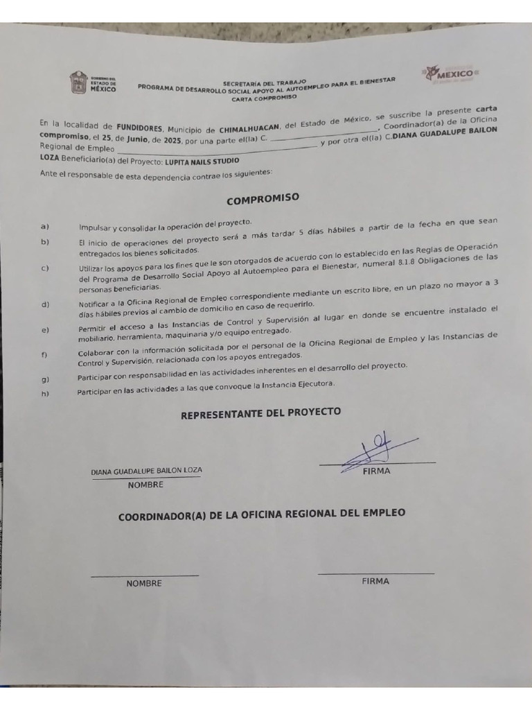 Carta Compromiso | PDF