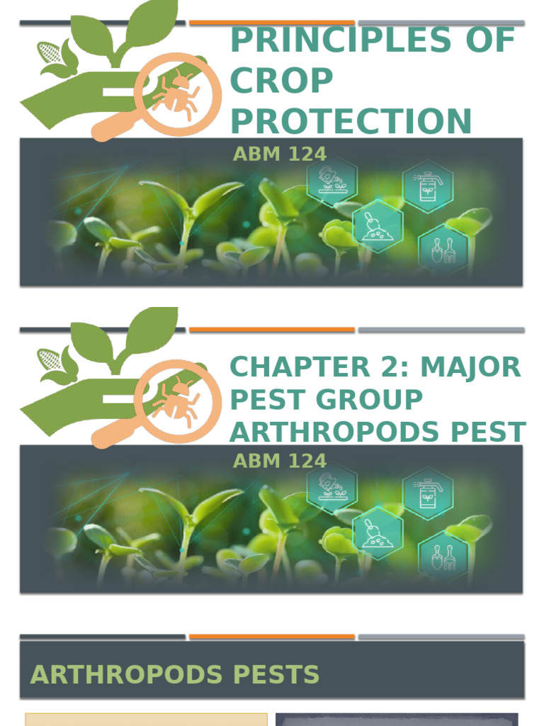 Chapter 6. Presentation Entomology Part 1 1 | PDF | Insects | Arthropods