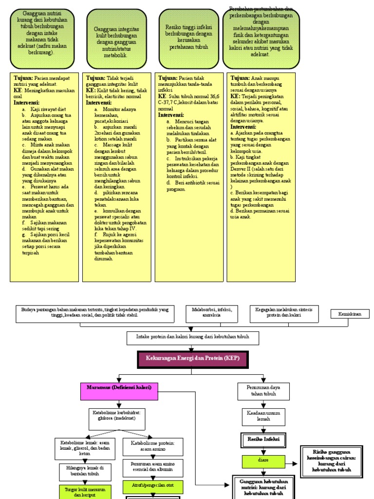 Pathway Marasmus | PDF