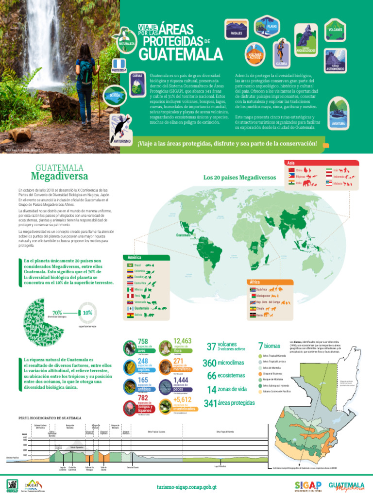 Mapa Areas Protegidas 2025 | PDF | Selva | Guatemala