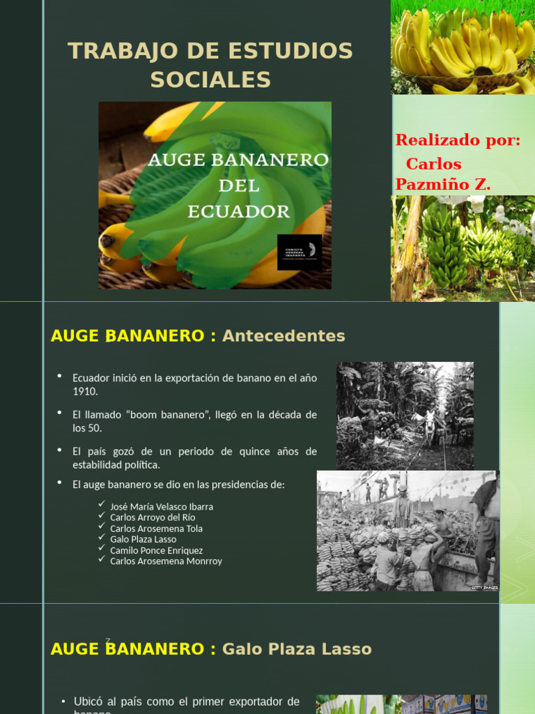 Auge Bananero en Ecuador: Impactos y Datos | PDF | Ecuador | Economias