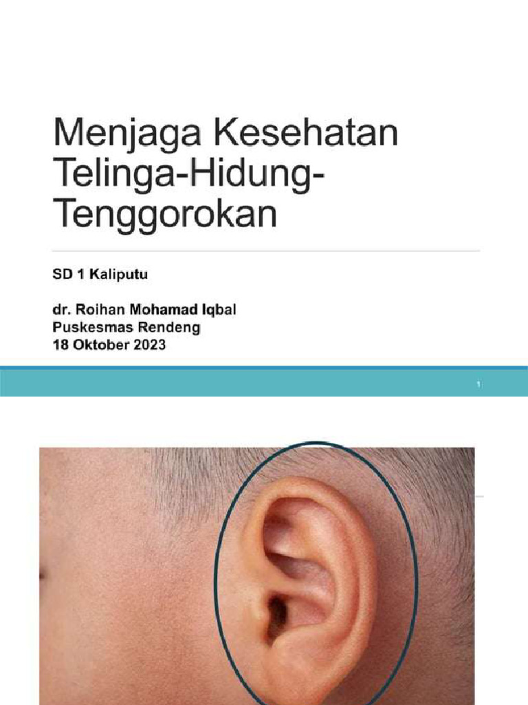 Kesehatan Telinga | PDF