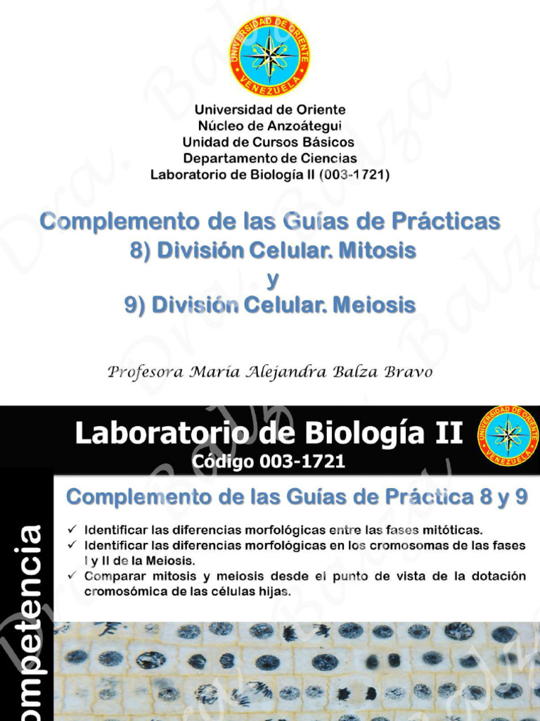 Complemento de Las Guías de Práctica 8 y 9. LBII 2025 | PDF