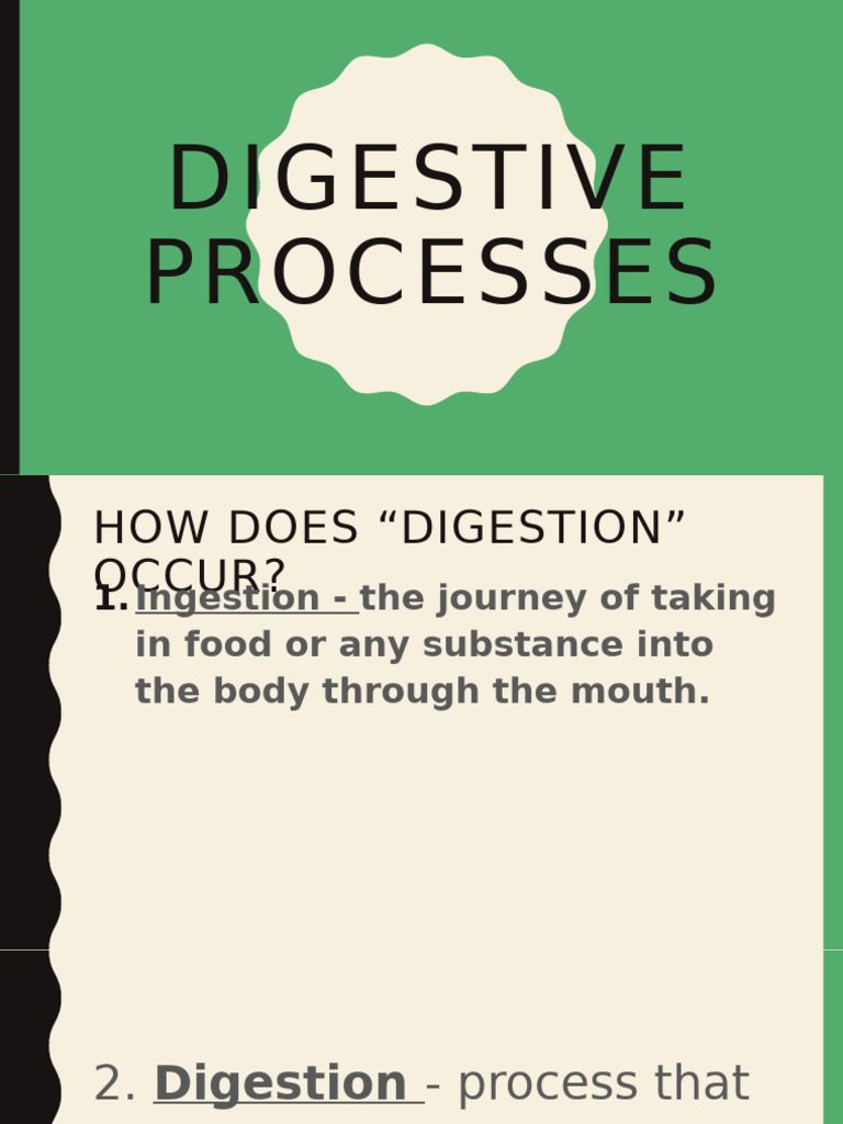 04 Digestive Processes | PDF