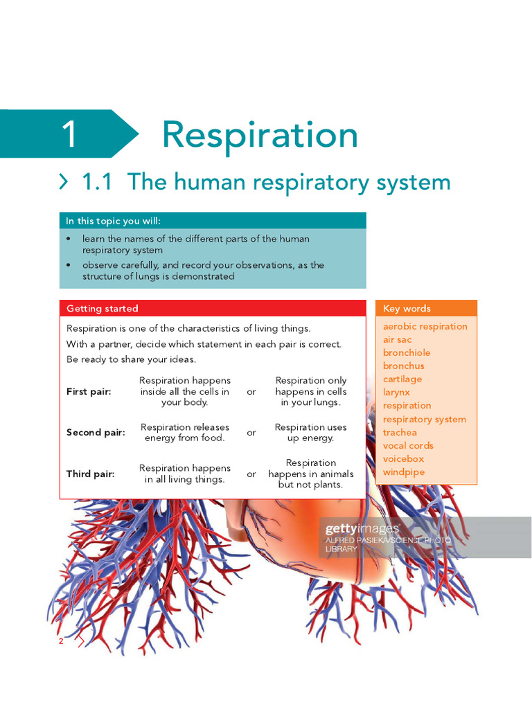 Science Unit 1 | PDF