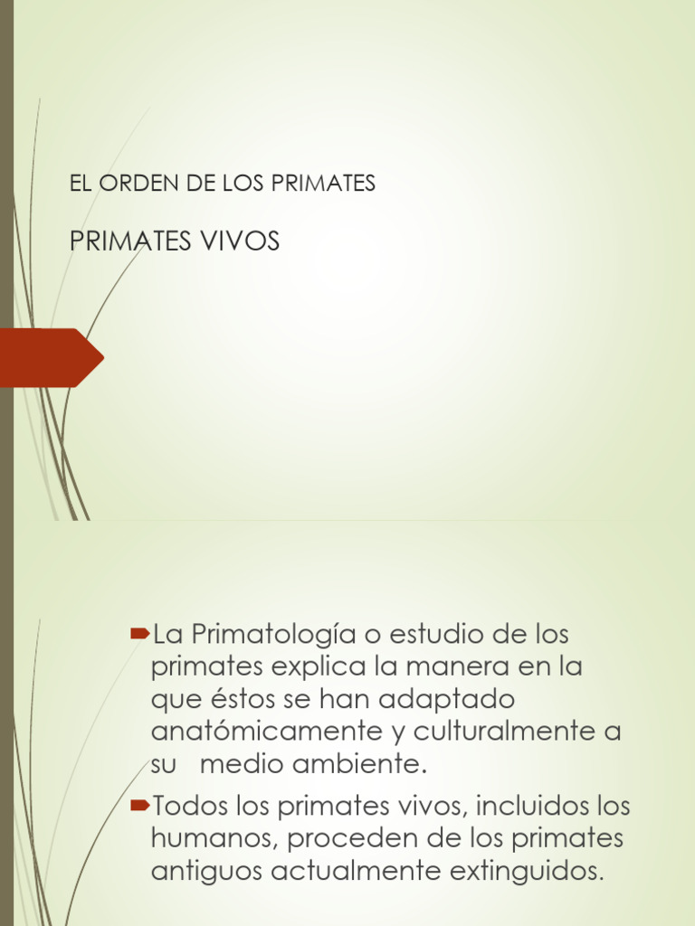Características del Orden de los Primates | PDF | Mono | Hominidae