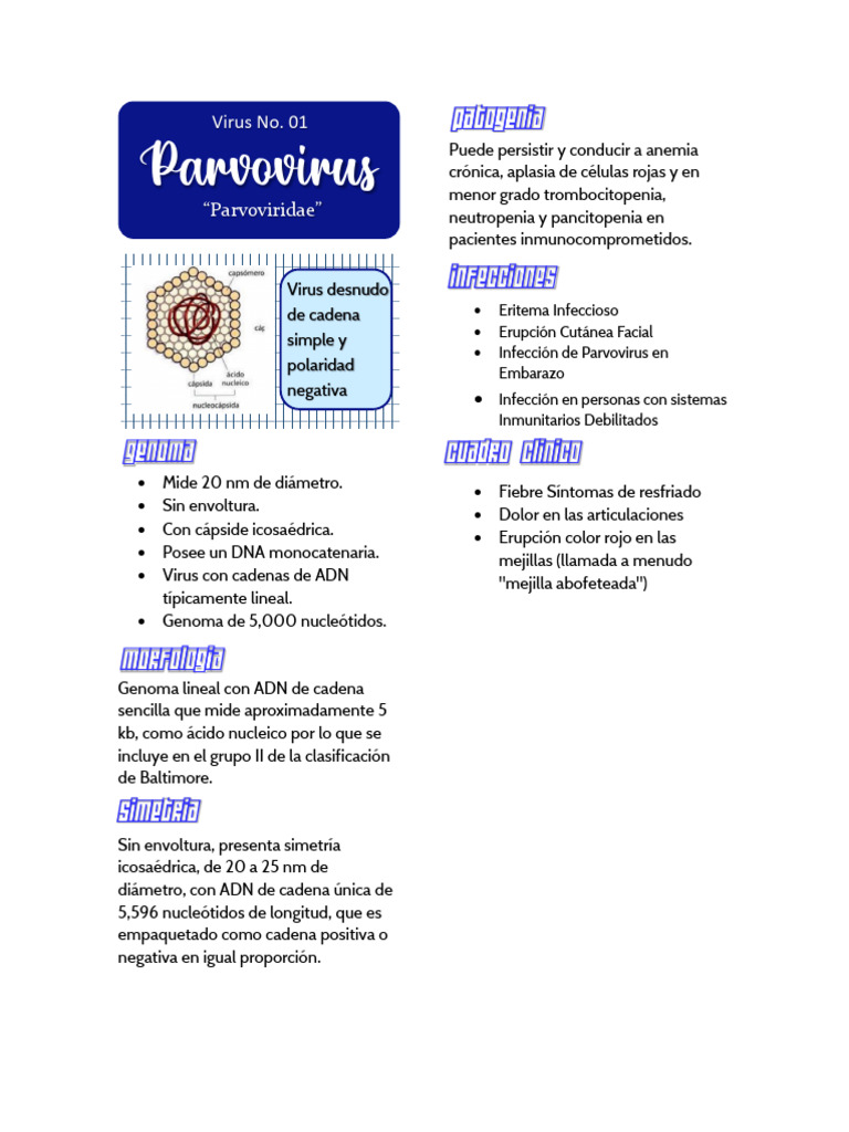 Guia Micro (Virus) | PDF | Virus | Influenza