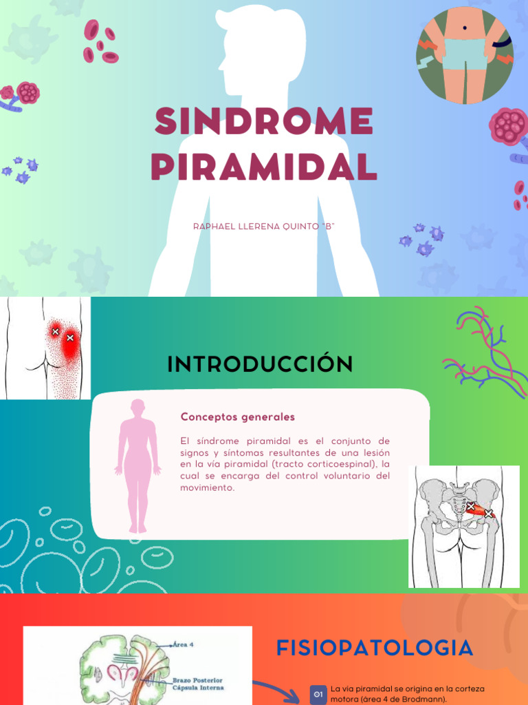 Sindrome Piramidal | PDF