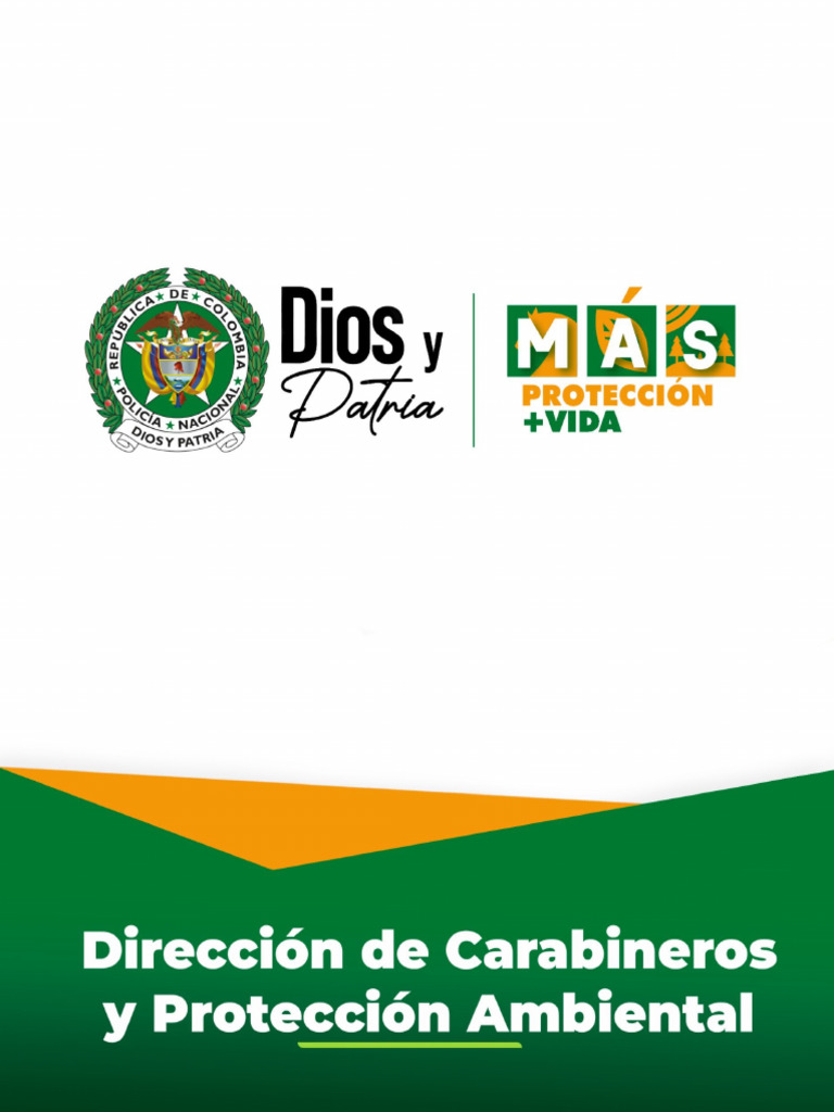 Informe de Actividades Jhon | PDF