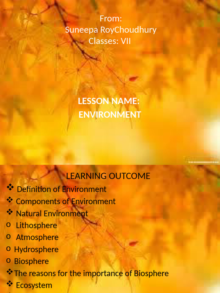 Chapter Our Environment | PDF