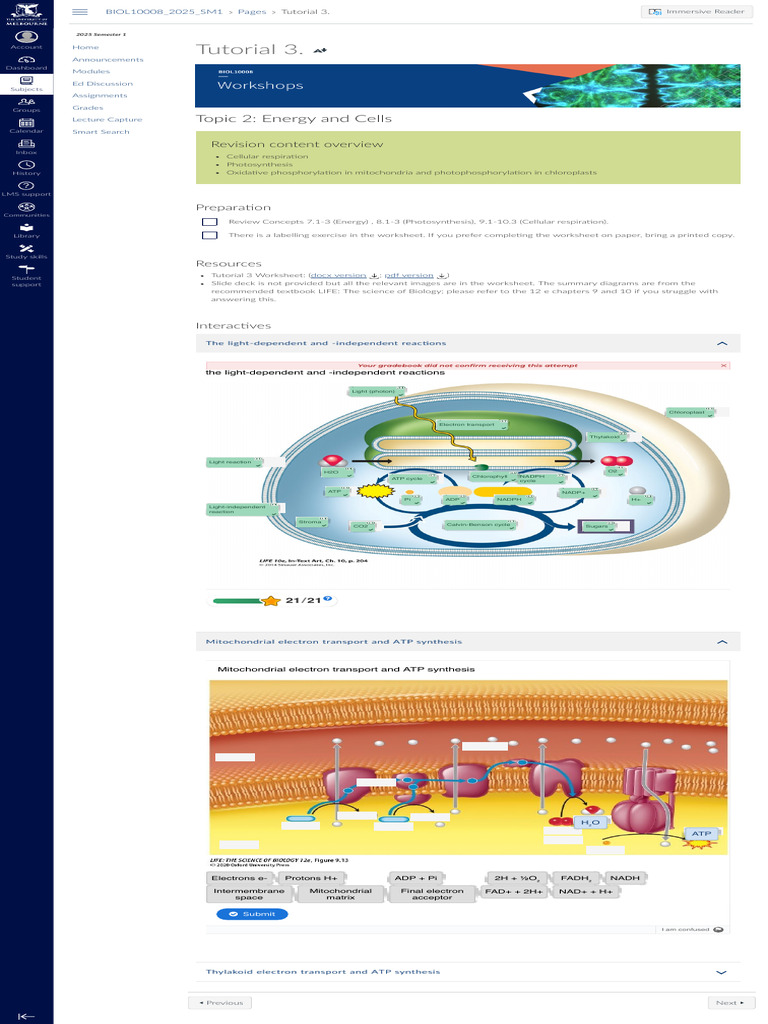 Tutorial 3. Foundational Biology Life's Machinery (BIOL10008 - 2025 - SM1) | PDF | Adenosine ...