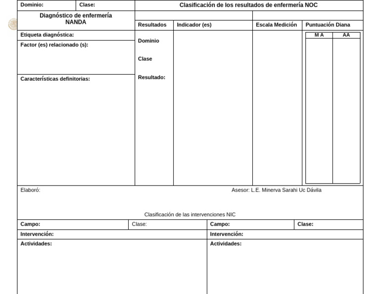 Formato Nanda Noc Nic Conalep 021249 | PDF