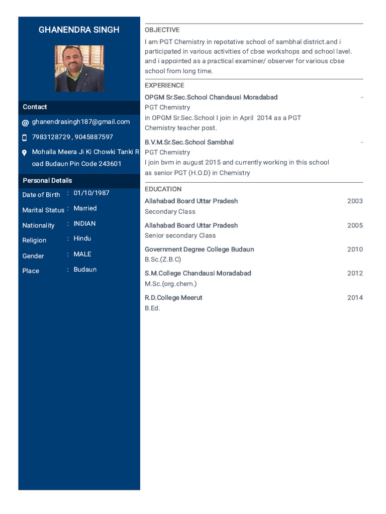 Intelligent CV Document | PDF