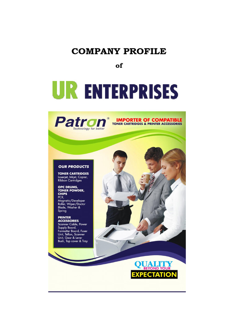 Company Profile - Write-Up - Update - 06-Jan - 2025 | PDF