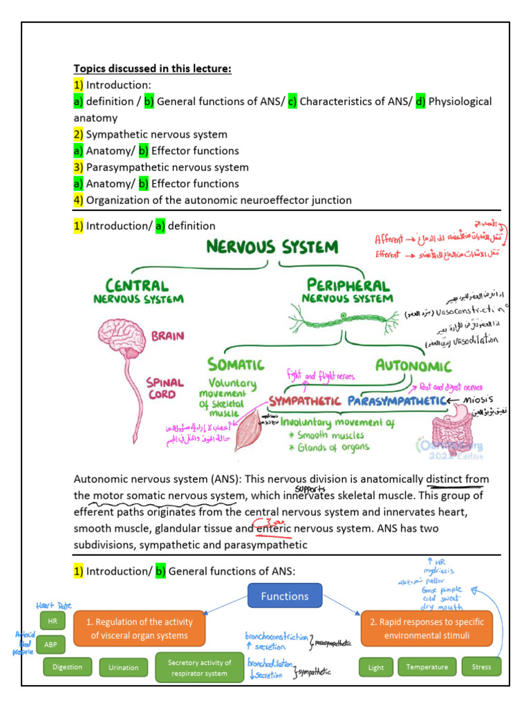Autonomic Nervous System 240325 084532 | PDF | Autonomic Nervous System | Nervous System