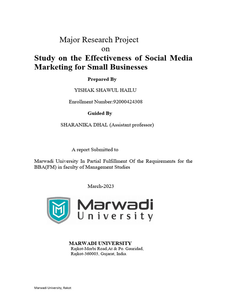 Final Year Project On Effectiveness of Social Media Marketing On Small ...