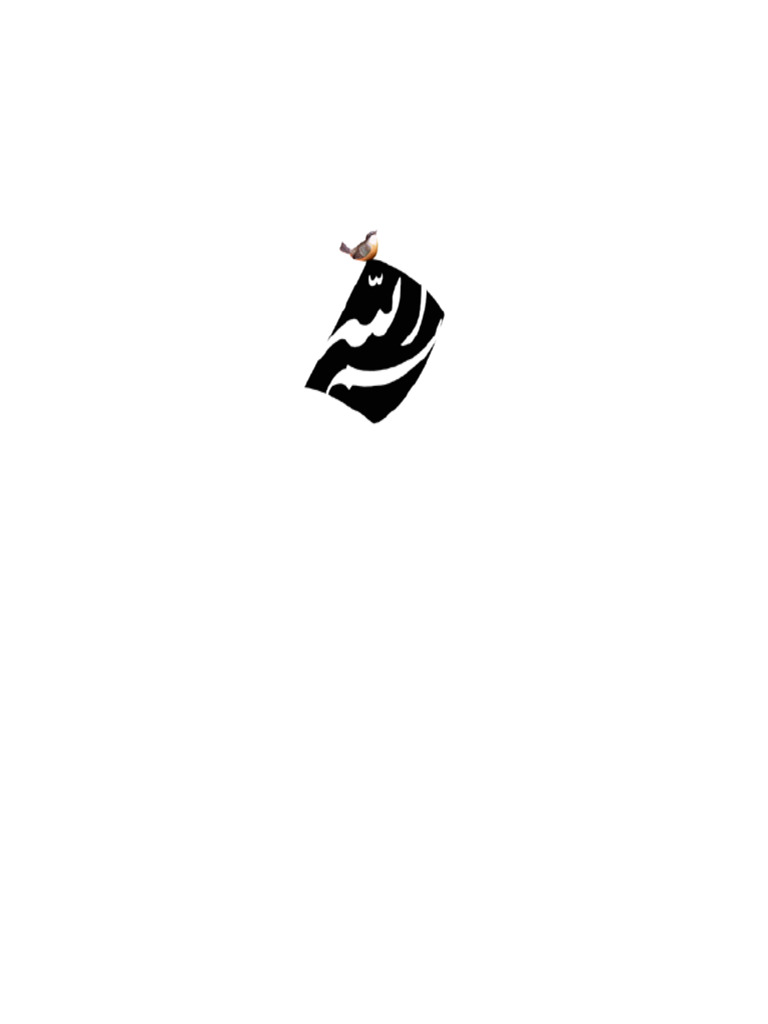 Standard | PDF