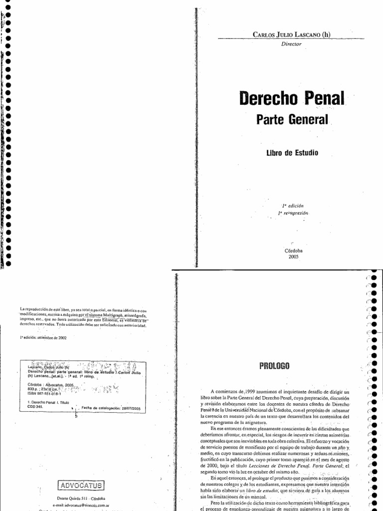 Lascano, Carlos - Derecho Penal - Parte General | PDF