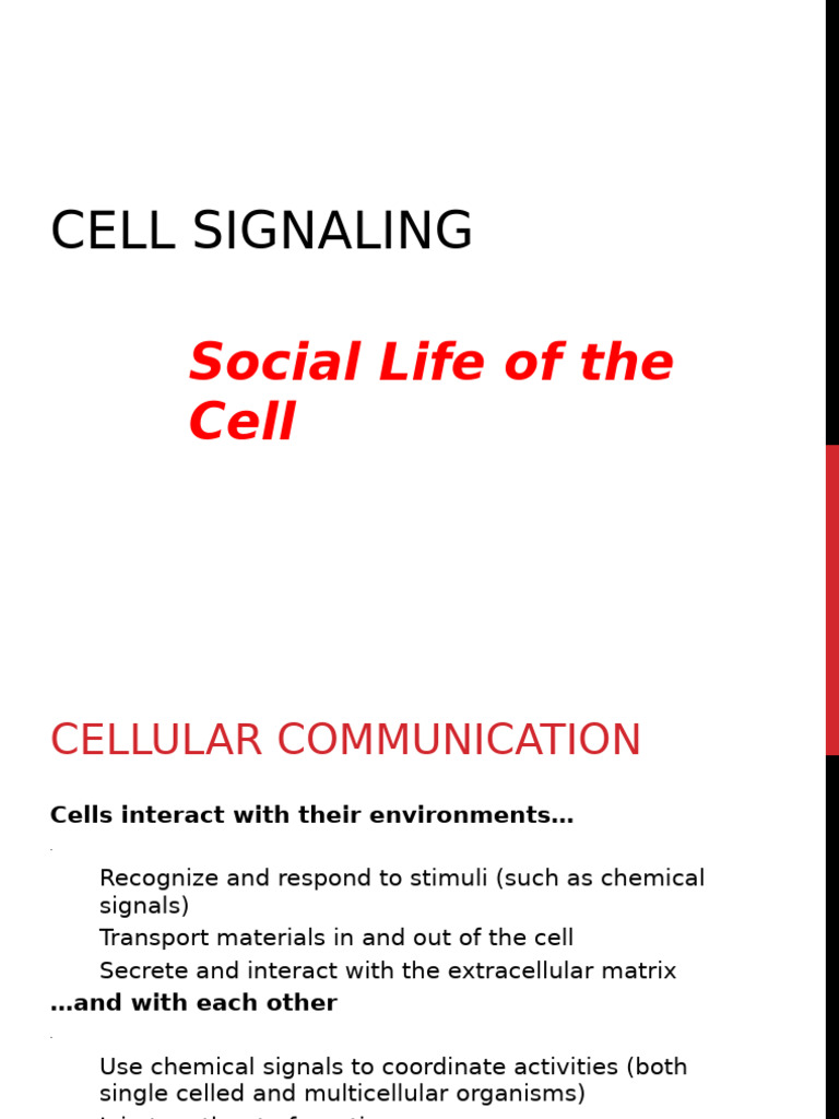 Cell Signaling Mechanisms Explained | PDF | Cell Signaling | Signal ...