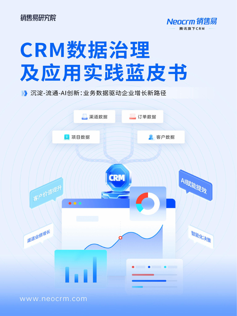 CRM Data Governance Application | PDF