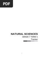 Contract of Employment For Pyei Beei Phase 5 | PDF | Employment ...