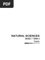 Grade 7 Term 3 Test Memorandum | PDF