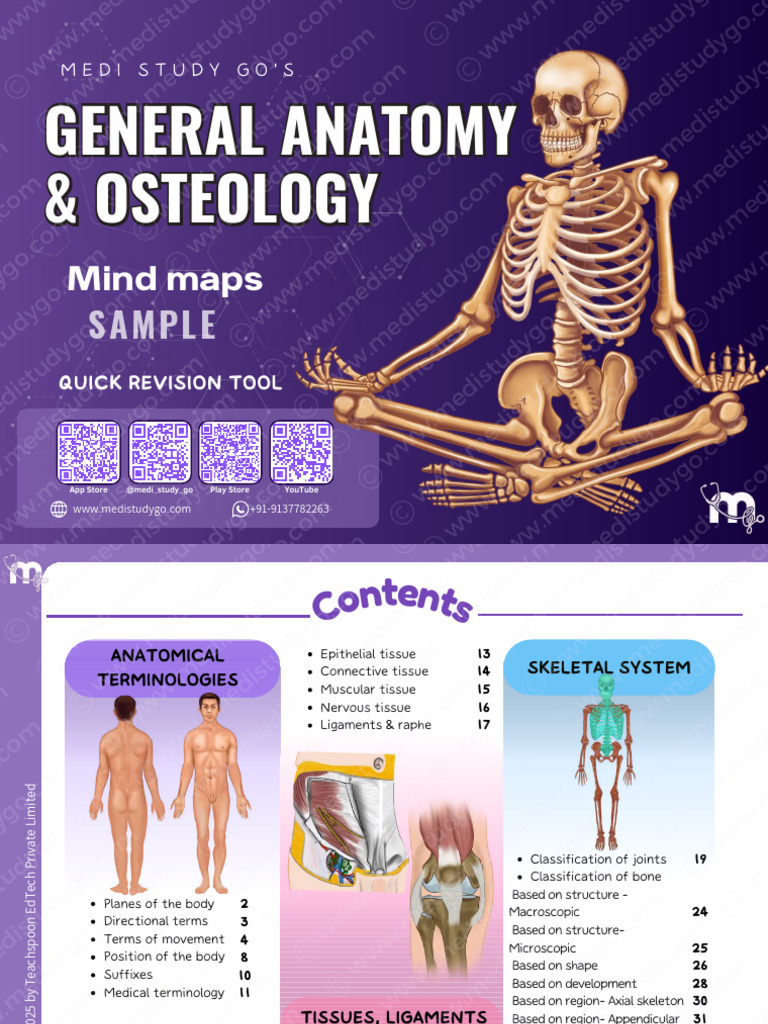 Anat Bundle GA Osteo-262354 | PDF