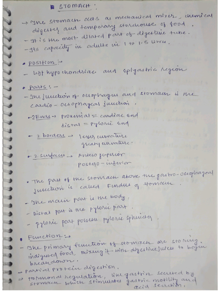 Anatomy Bds 1st Year Notes " Pancreas, Liver, Spleen, Stomach, IMF and ...