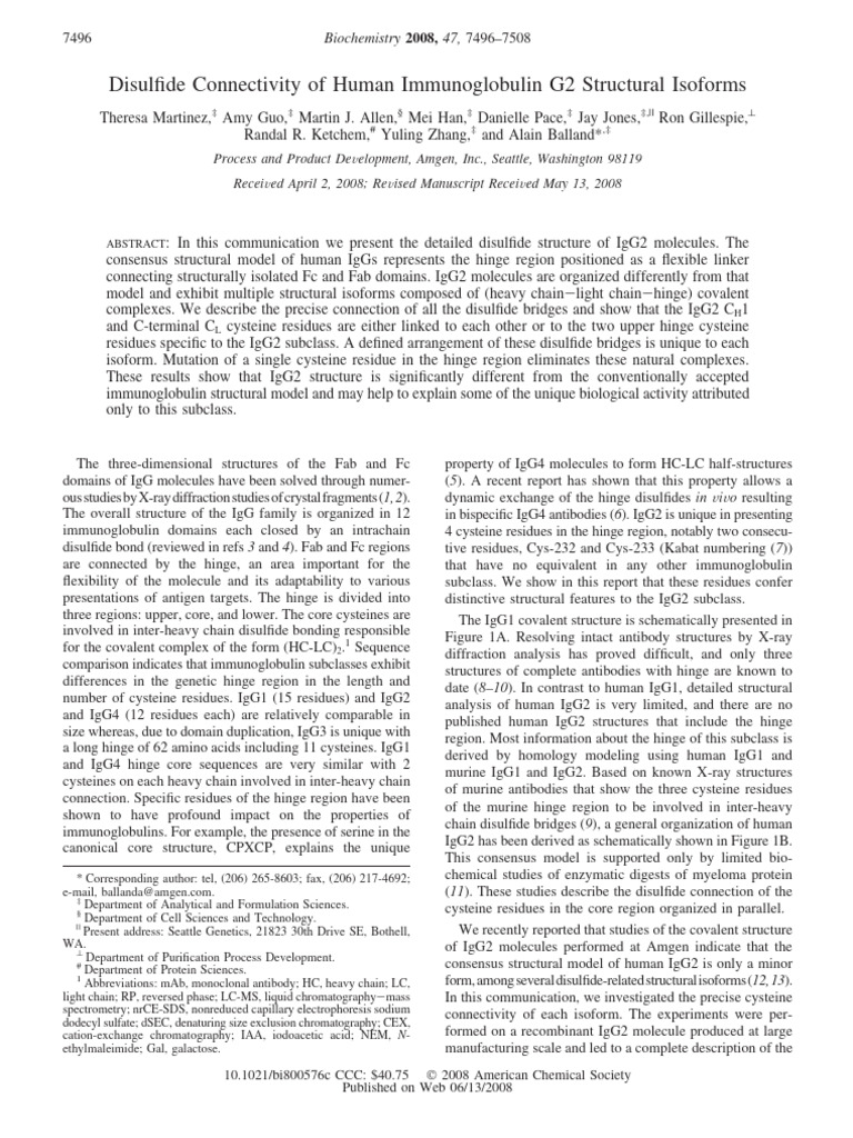 Disulfide Structure of IgG2 Isoforms | PDF | Immunoglobulin G | Amino Acid