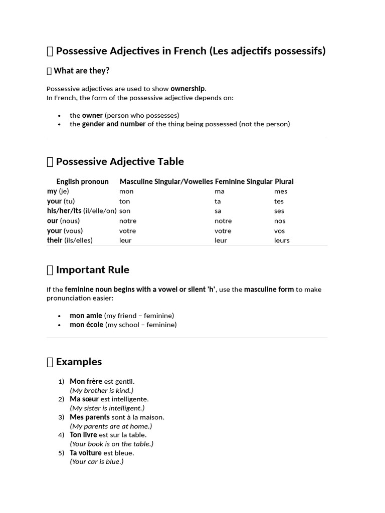 French Possessive Adjectives Explained | PDF