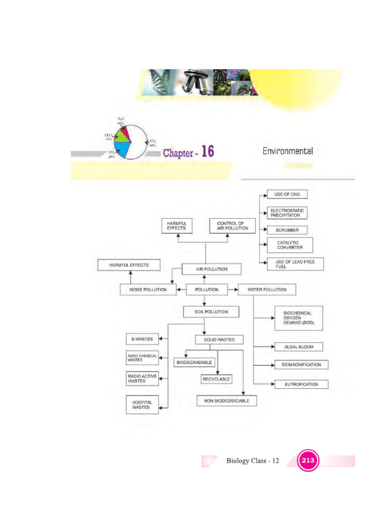 Chapter 16 Environmental Issues | PDF