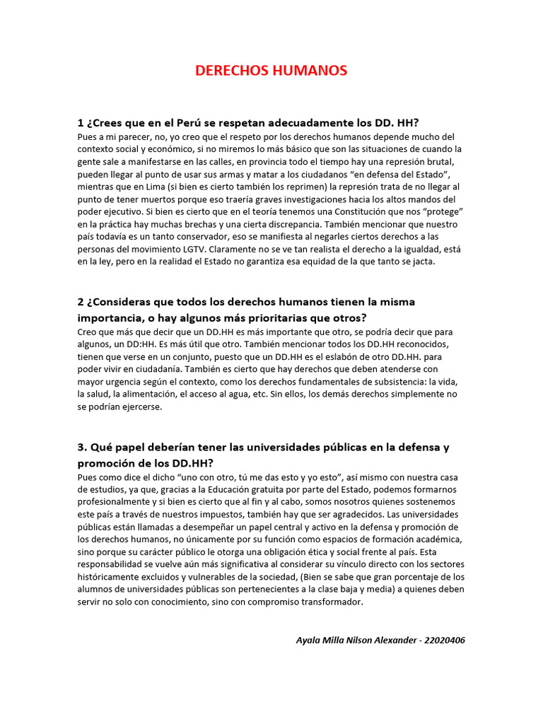 Importancia de los Derechos Humanos en Perú | PDF | Derechos humanos