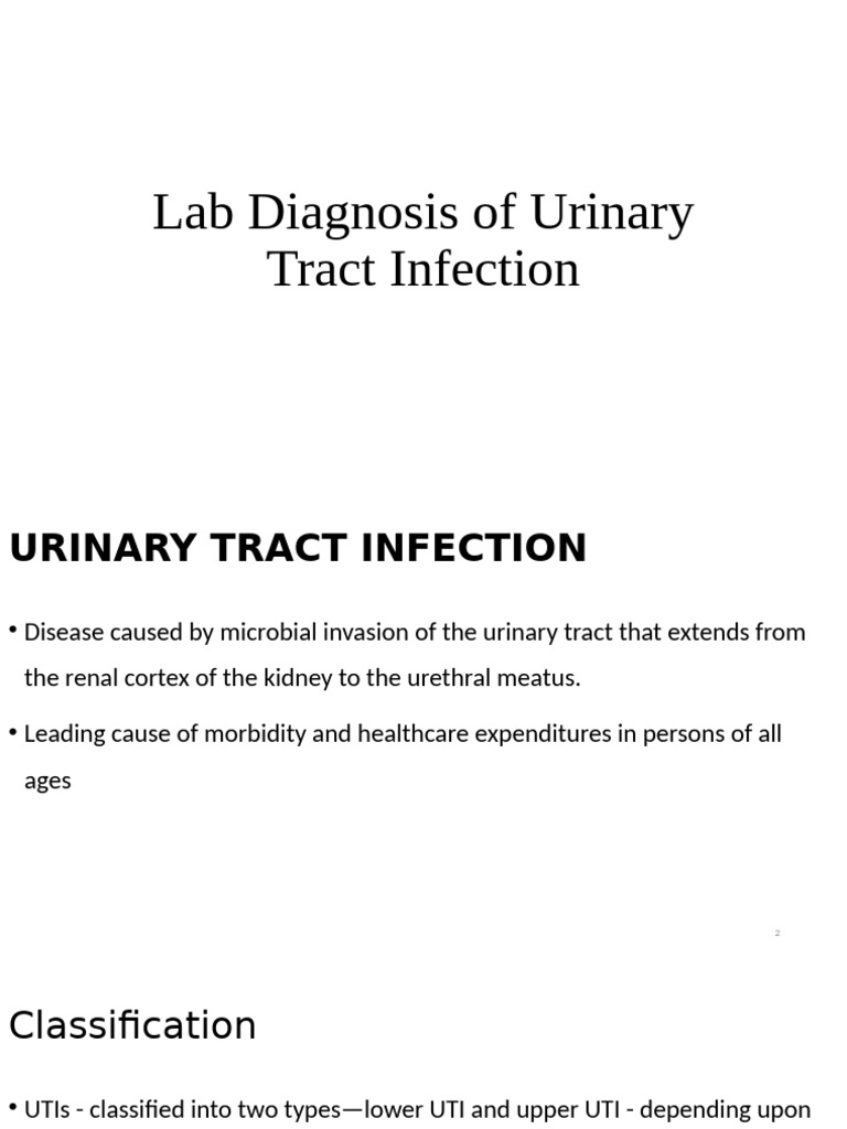 Lab Diagnosis of Urinary Tract Infection | PDF | Urinary Tract ...