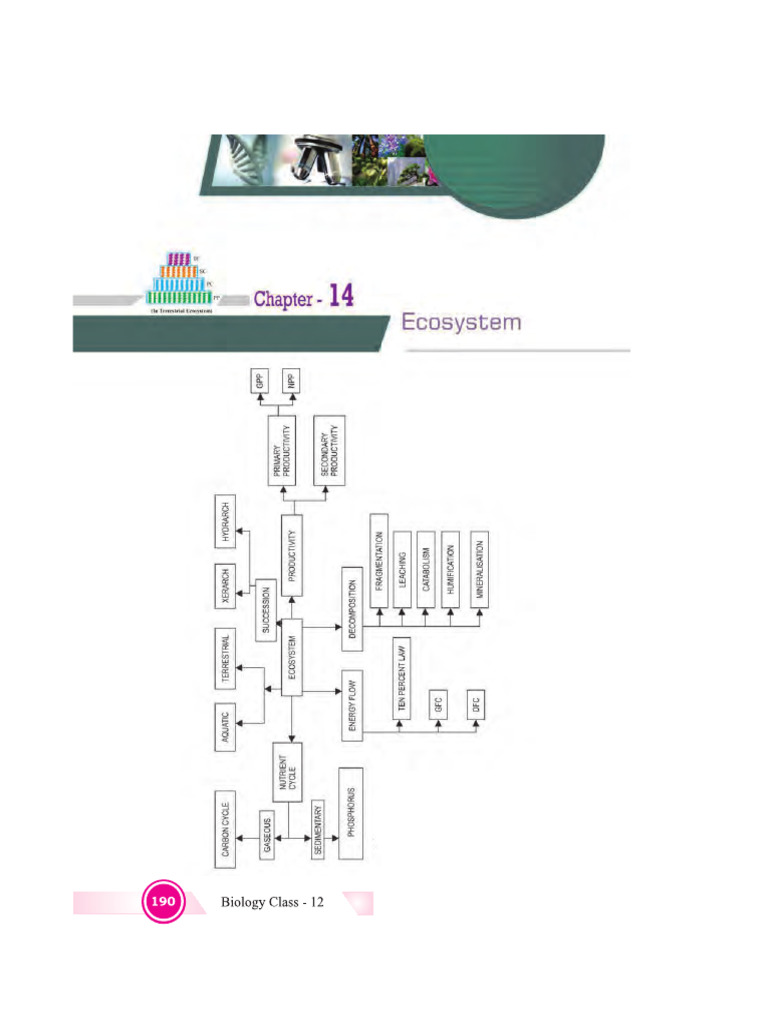 Chapter 14 Ecosystem | PDF