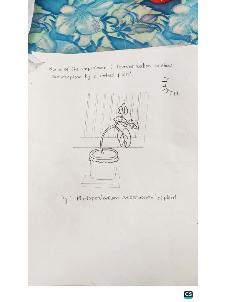 Biology Practical | PDF