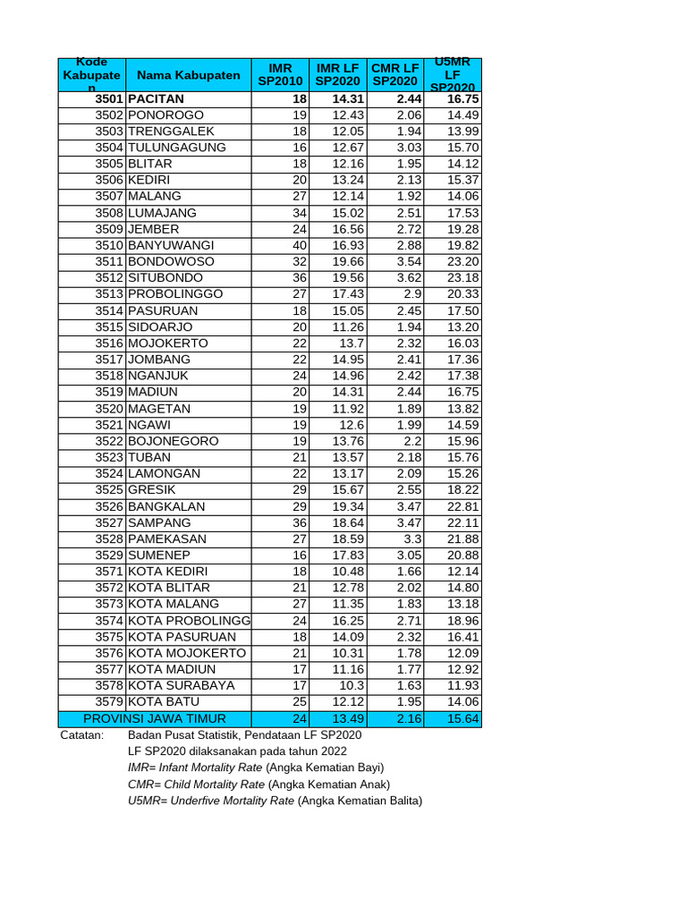 Angka Kematian Bayi | PDF