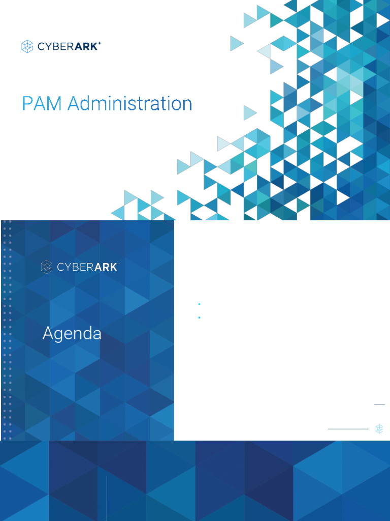 18 PAM ADMIN Vault Security | PDF | Public Key Cryptography | Encryption