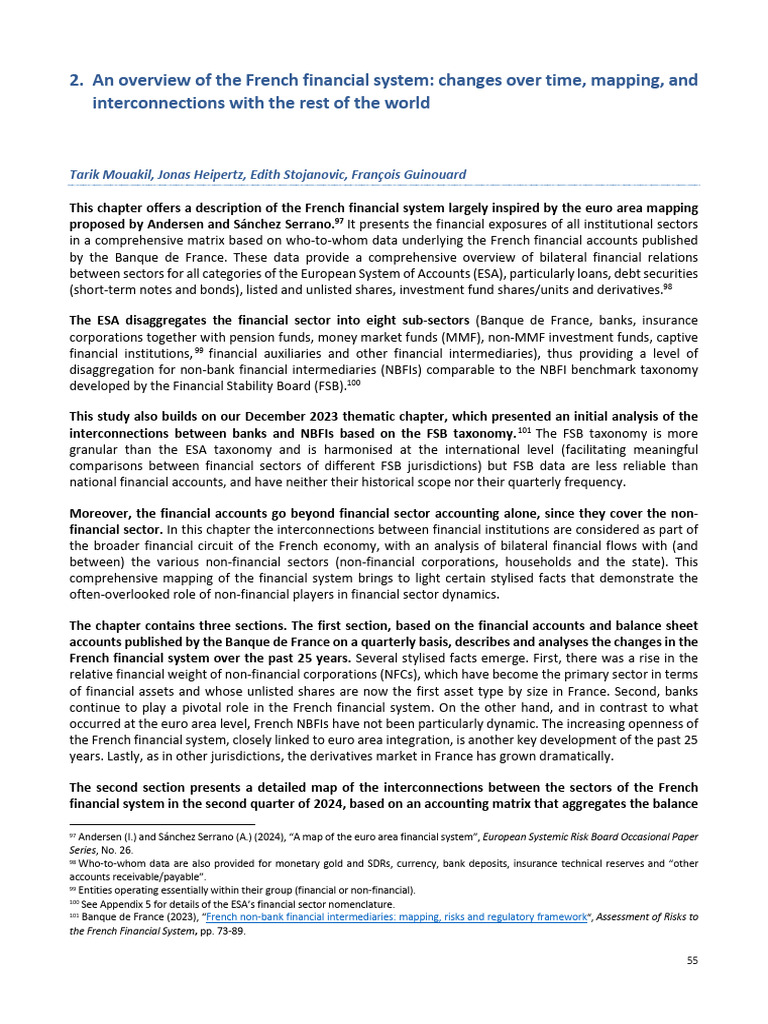 Banque de France RSF Dec2024 - Chapter2 - EN - PDF | PDF | Derivative (Finance) | Banks