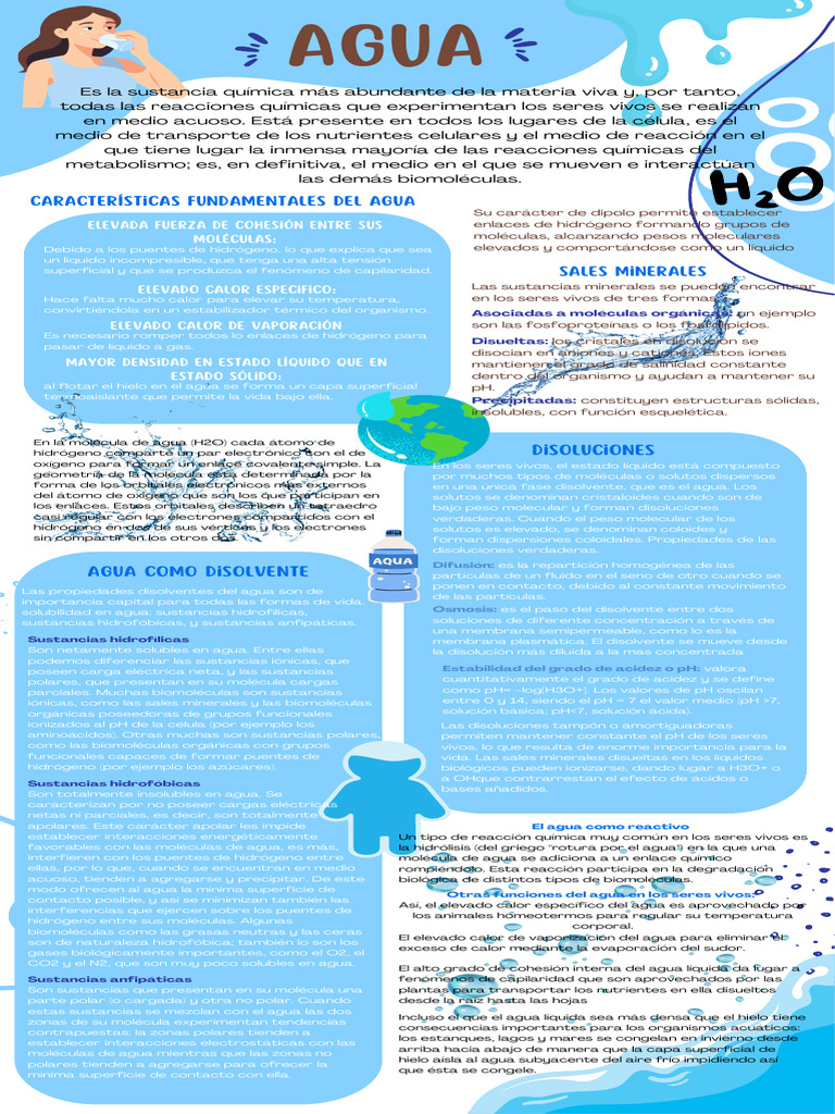 Propiedades y funciones del agua en biología | PDF | Moléculas ...