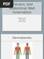 ACDF Post-Op Physical Therapy Protocol | PDF | Anatomical Terms Of ...
