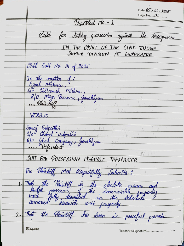 Drafting Pleading (Practical No. 1 To 19) | PDF