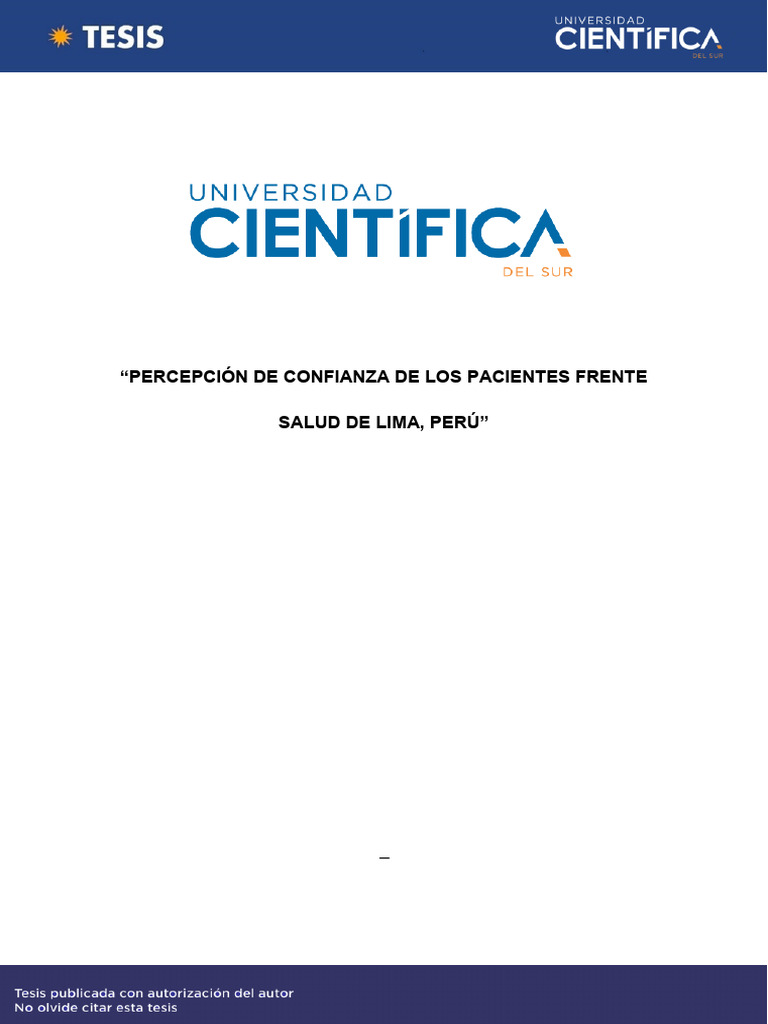 TL-Macazana D Portocarrero A | PDF | Plagio