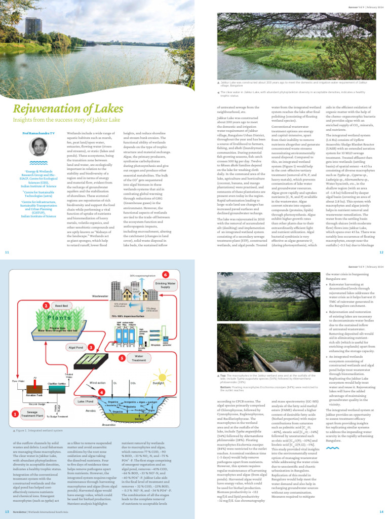 Jakkur Lake: Integrated Wetland Success | PDF | Wetland | Sewage Treatment