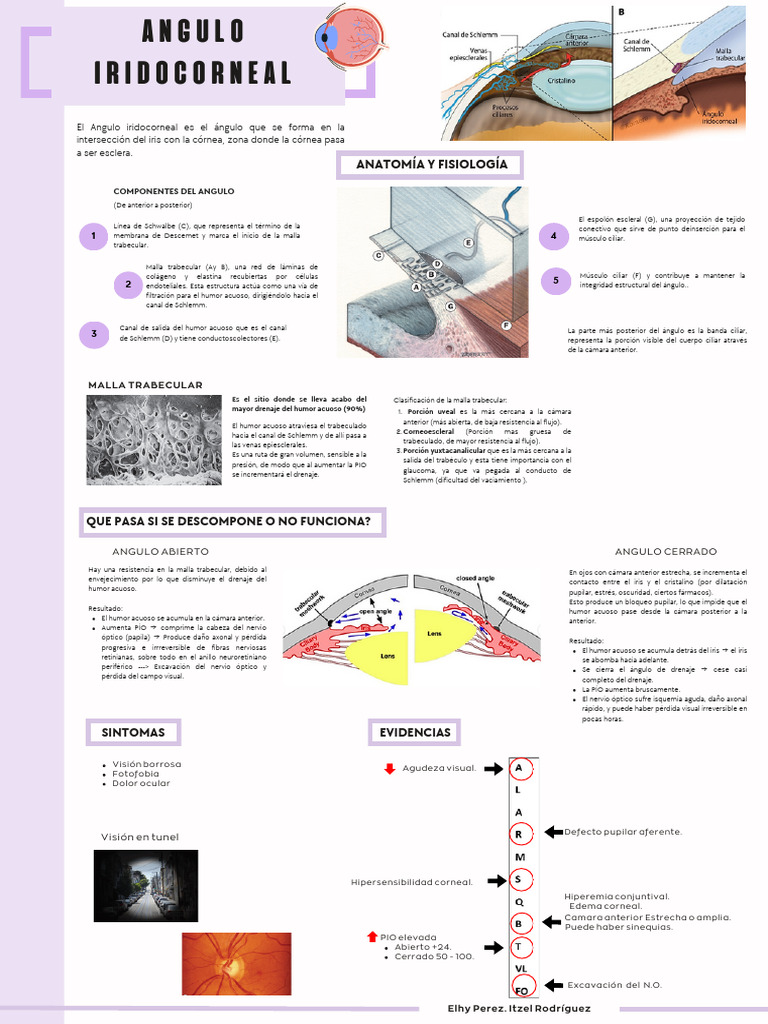 Angulo Iridocorneal | PDF | Glaucoma | Ojo humano