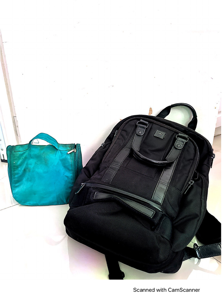 Go Bag | PDF