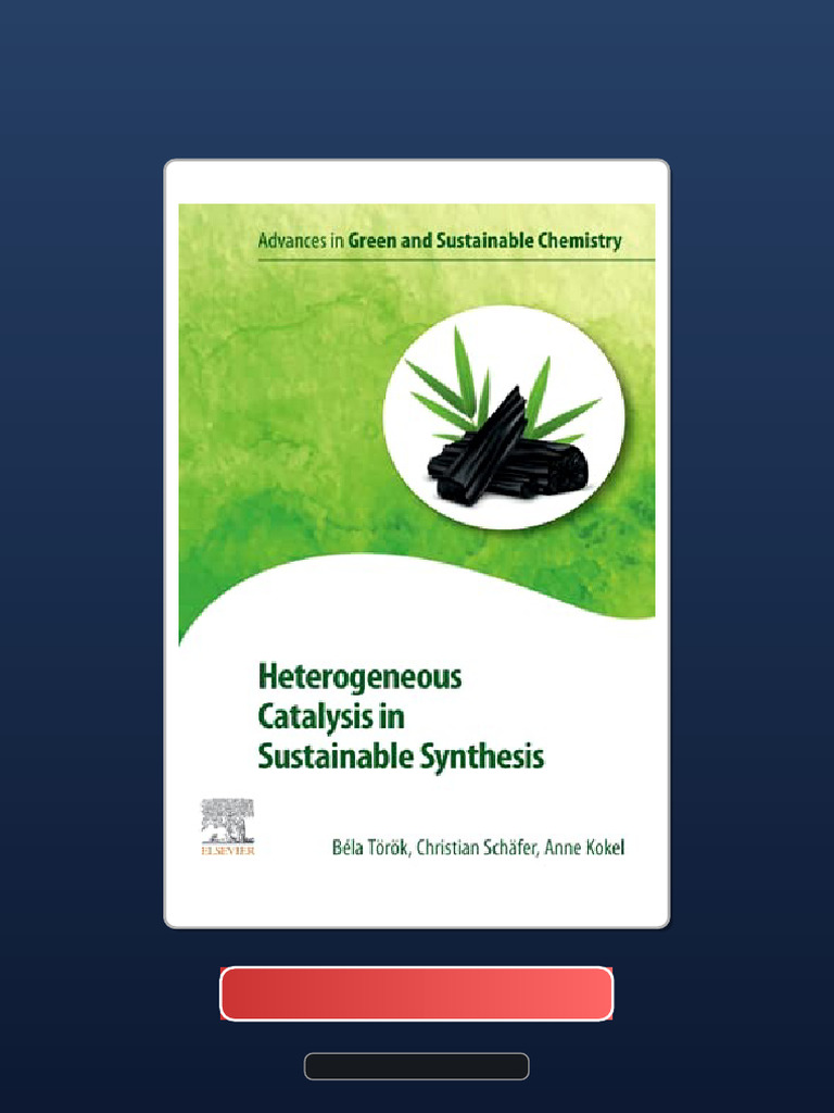 Heterogeneous Catalysis in Sustainable Synthesis Advances in Green and Sustainable Chemistry 1st ...
