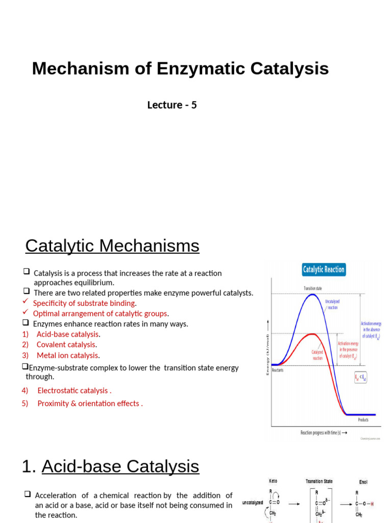 Mechanism of Enzymatic Catalysis Lecture 5 | PDF | Catalysis | Chemical ...