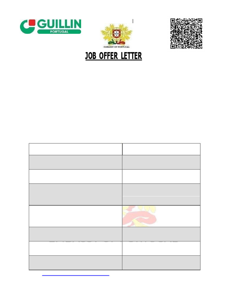 Hasnain Khan Offer Letter | PDF | Travel Visa | Government And Personhood